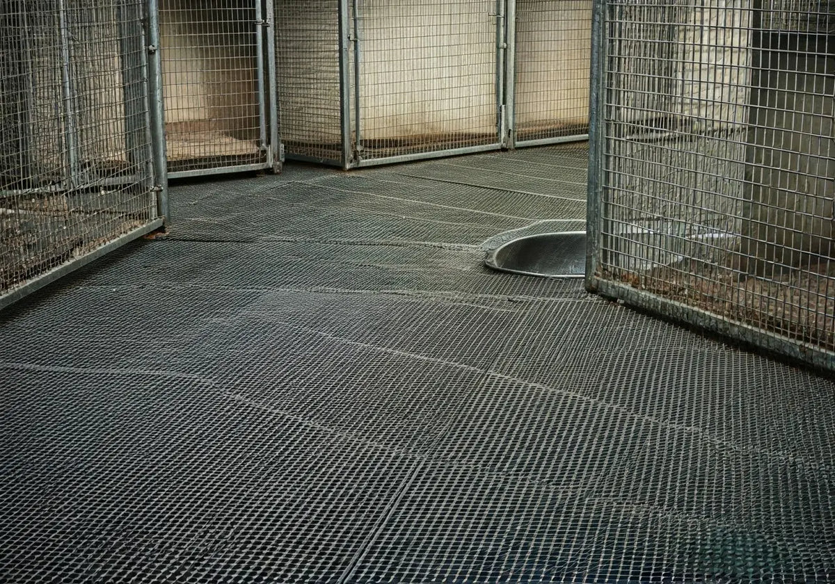 How Do I Maintain Dog Kennel Flooring? – Pet Crates Direct