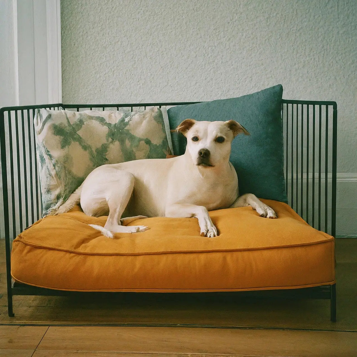 9 Custom Dog Bed Designs That Your Pet Will Absolutely Love – Pet ...