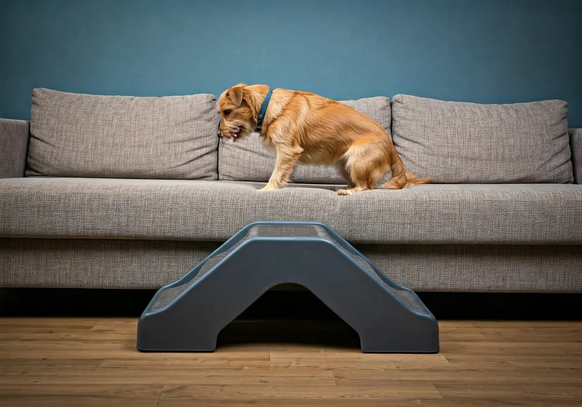 7 Tips for Training Your Pet to Use Pet Steps Safely and Efficiently ...