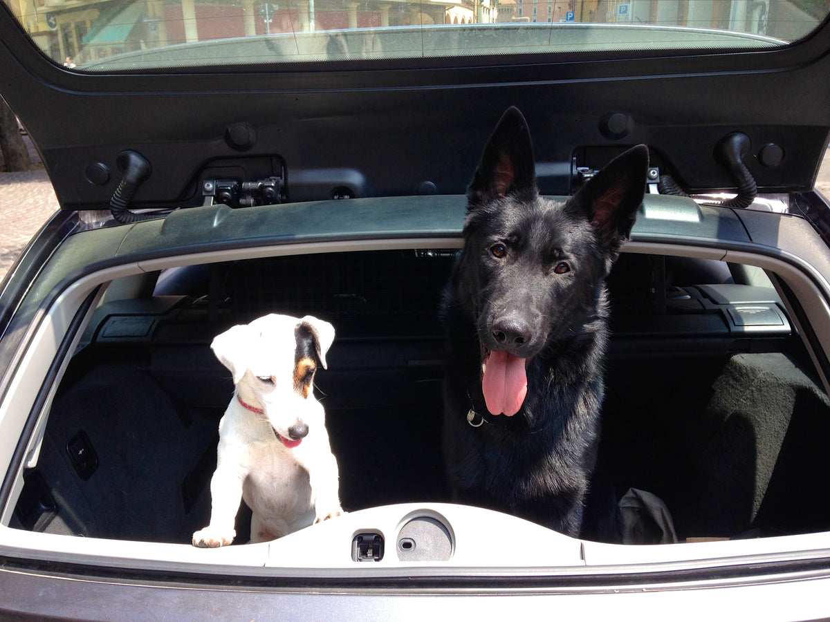 MIM Dog Crates – What Do They Have to Offer? – Pet Crates Direct