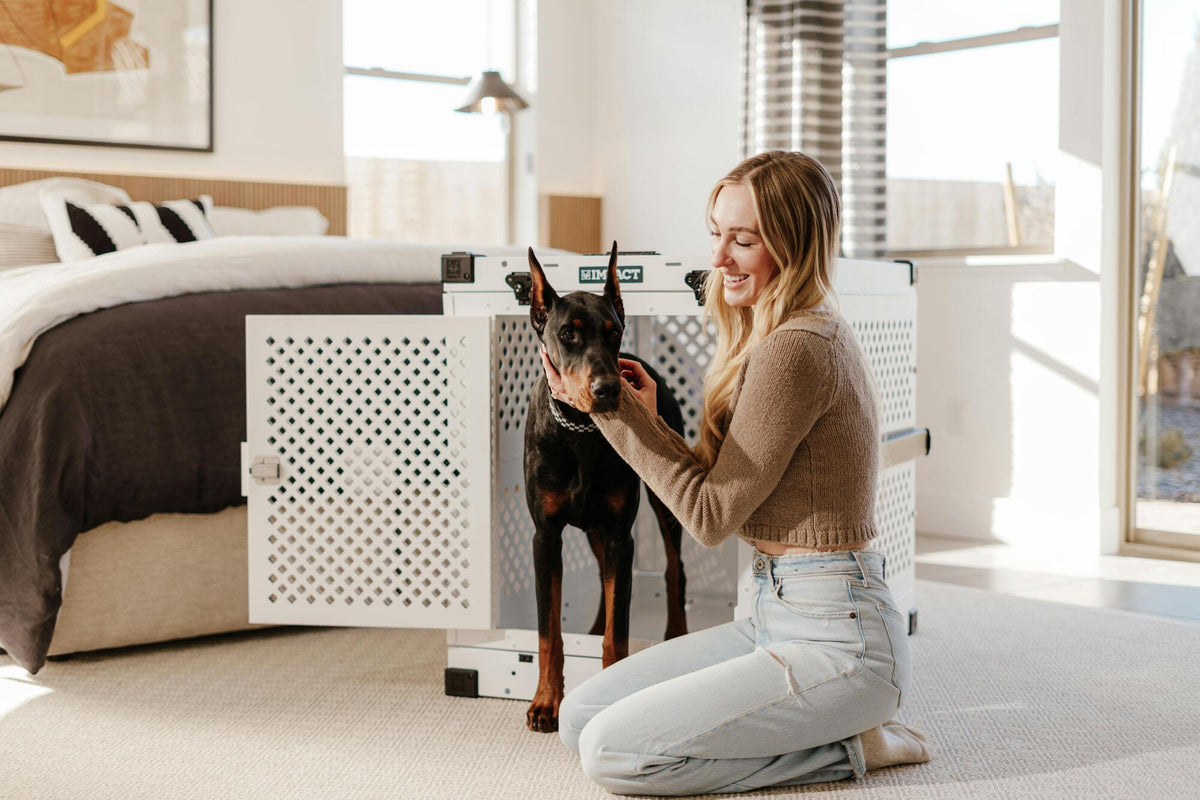 Choosing the Right Metal Dog Crate for Your Furry Friend – Pet Crates ...